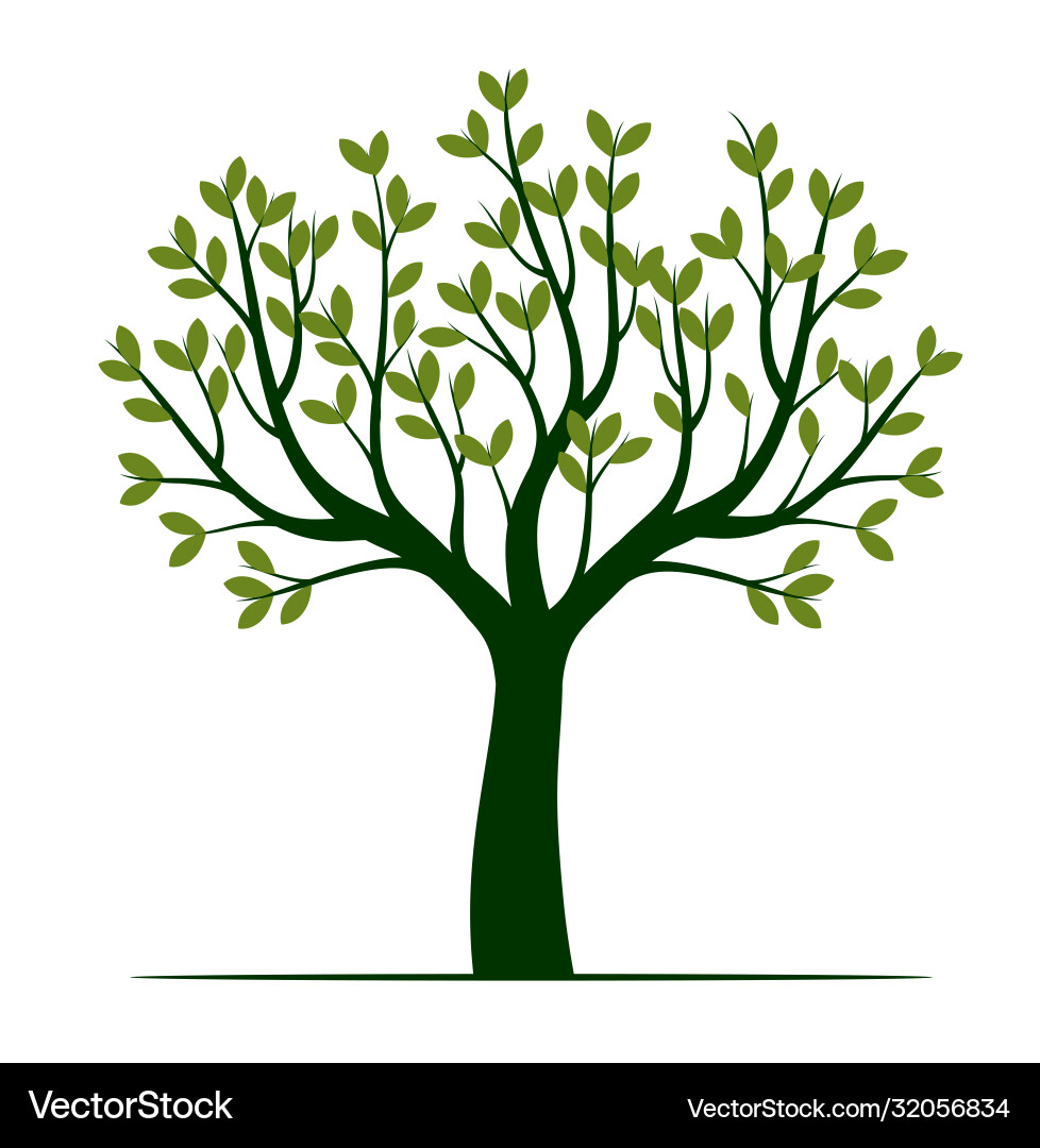 Green tree with leaves outline Royalty Free Vector Image