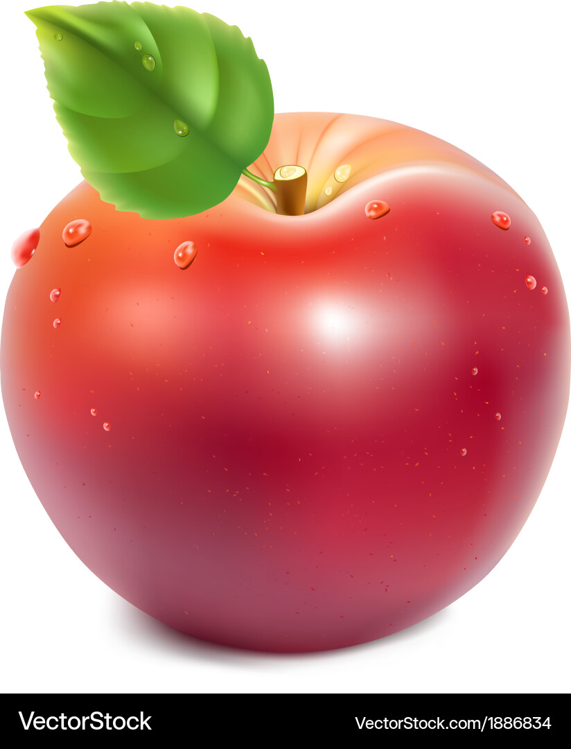 Green And Red Apple Clipart