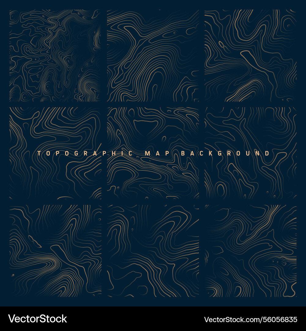 Colorful topographic maps with contour lines Vector Image