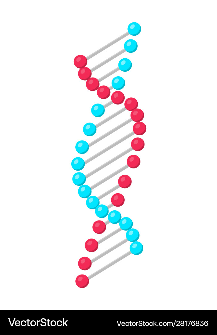 Dna structure isometric Royalty Free Vector Image