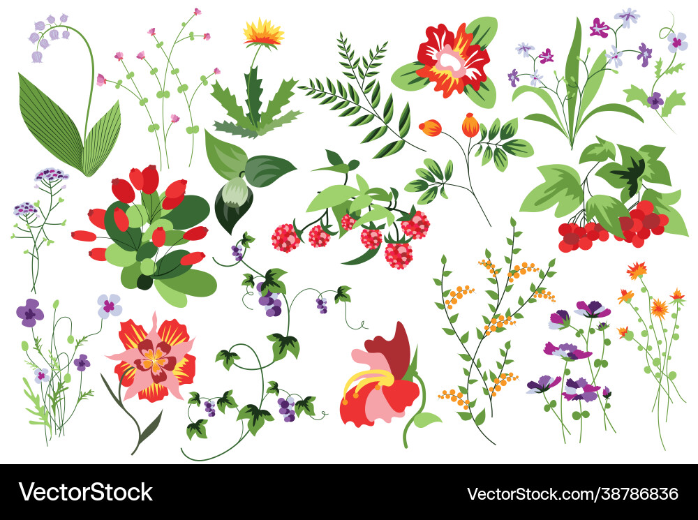 Flower and plants isolated set bundle floral Vector Image