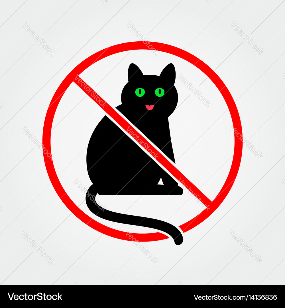 No cats Royalty Free Vector Image - VectorStock