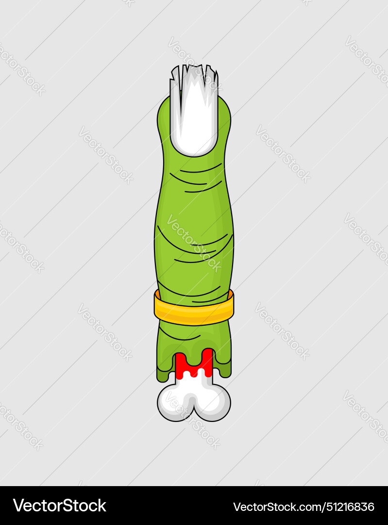 Zombie finger isolated green and bone Royalty Free Vector