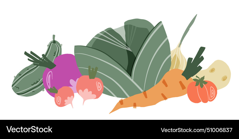 Composition of vegetables root Royalty Free Vector Image