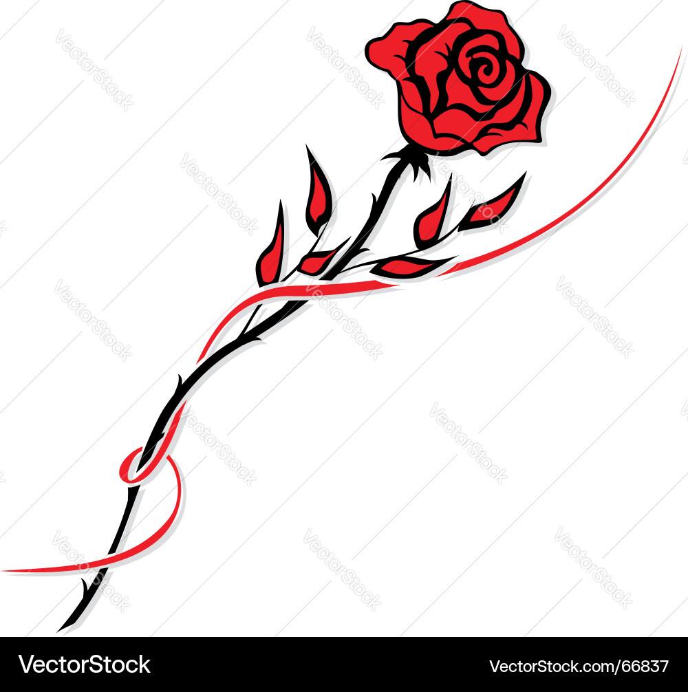 Red rose Royalty Free Vector Image - VectorStock