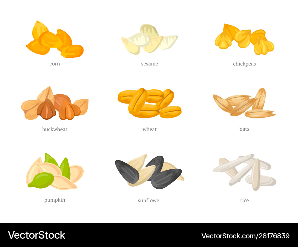 Cereal grains flat set Royalty Free Vector Image