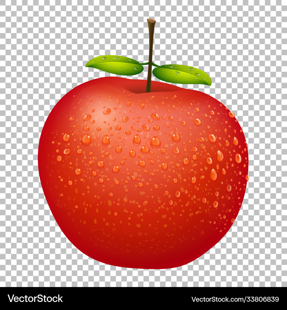 Red apple realistic isolated Royalty Free Vector Image