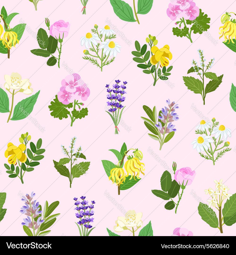 Floral Pattern - Botanical Herbs Royalty Free Vector Image