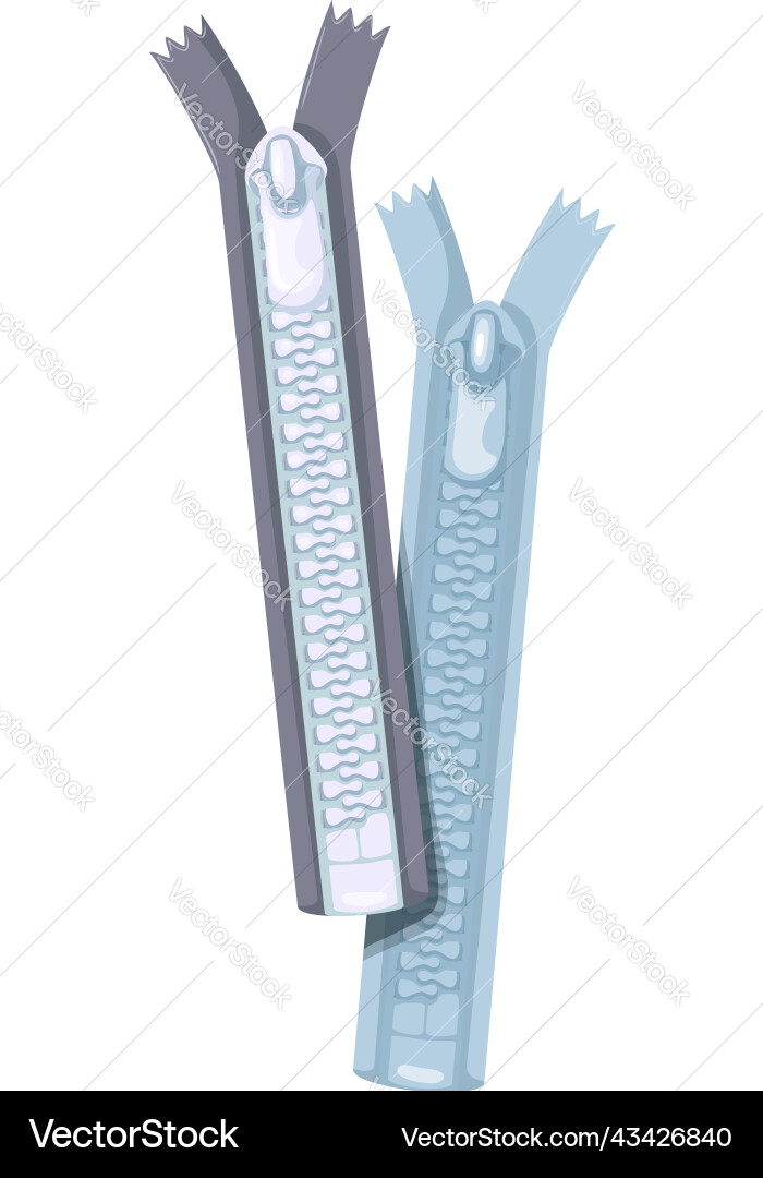 Zippers for clothes Royalty Free Vector Image - VectorStock