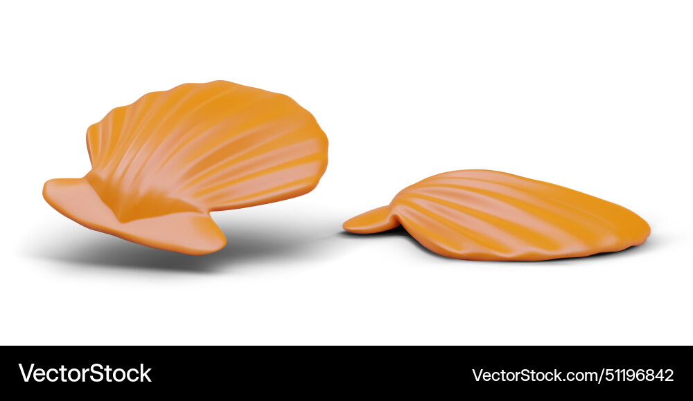 Collection with realistic orange shells Royalty Free Vector