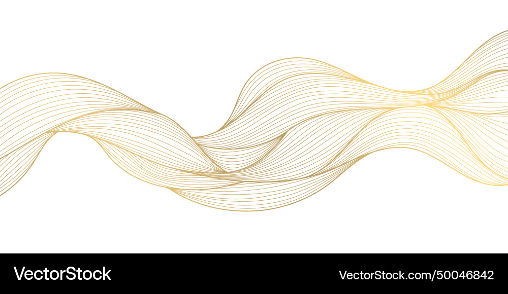 Gold line wave background abstract luxury Vector Image