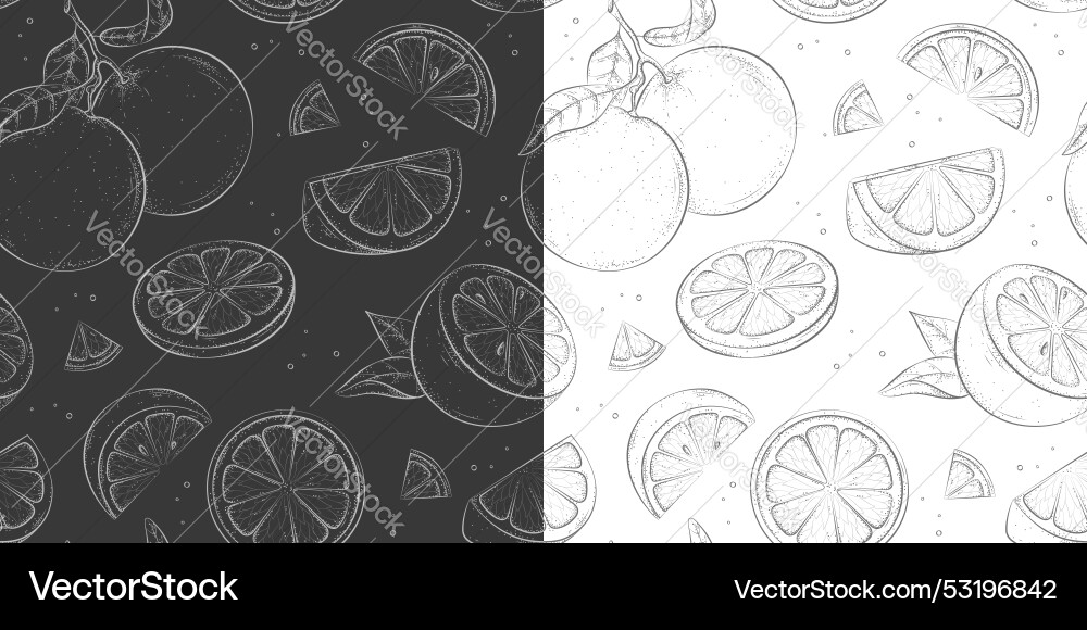 Orange fruits pattern Royalty Free Vector Image