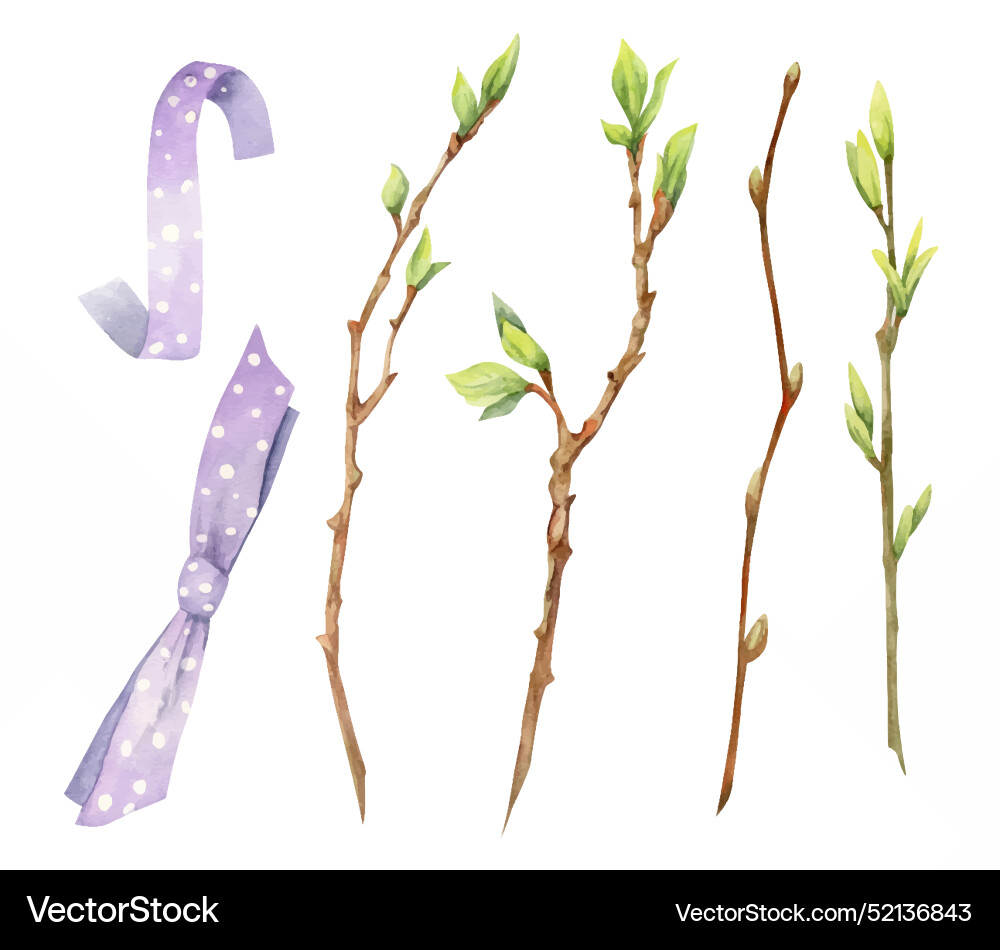Watercolor hand drawn set of objects with spring Vector Image