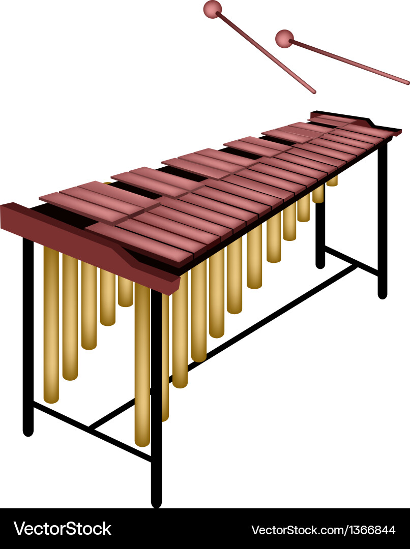 A musical marimba isolated on white background Vector Image