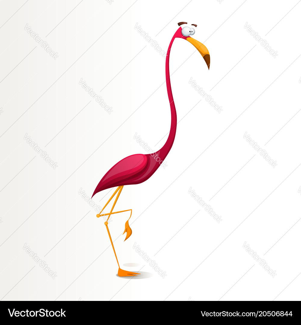 Funny crazy cartoon flamingo characters Royalty Free Vector