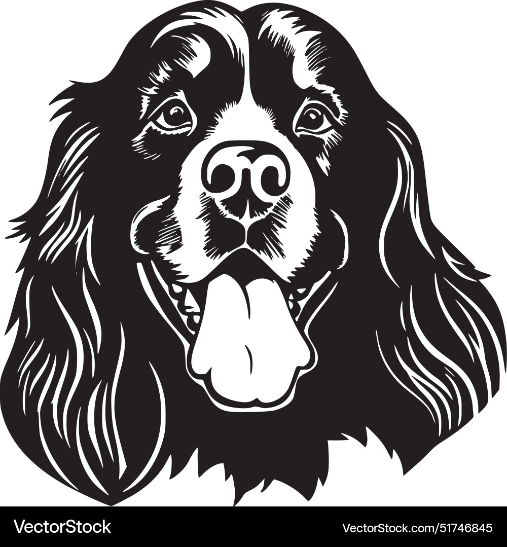 Cocker spaniel - high quality logo ideal Vector Image