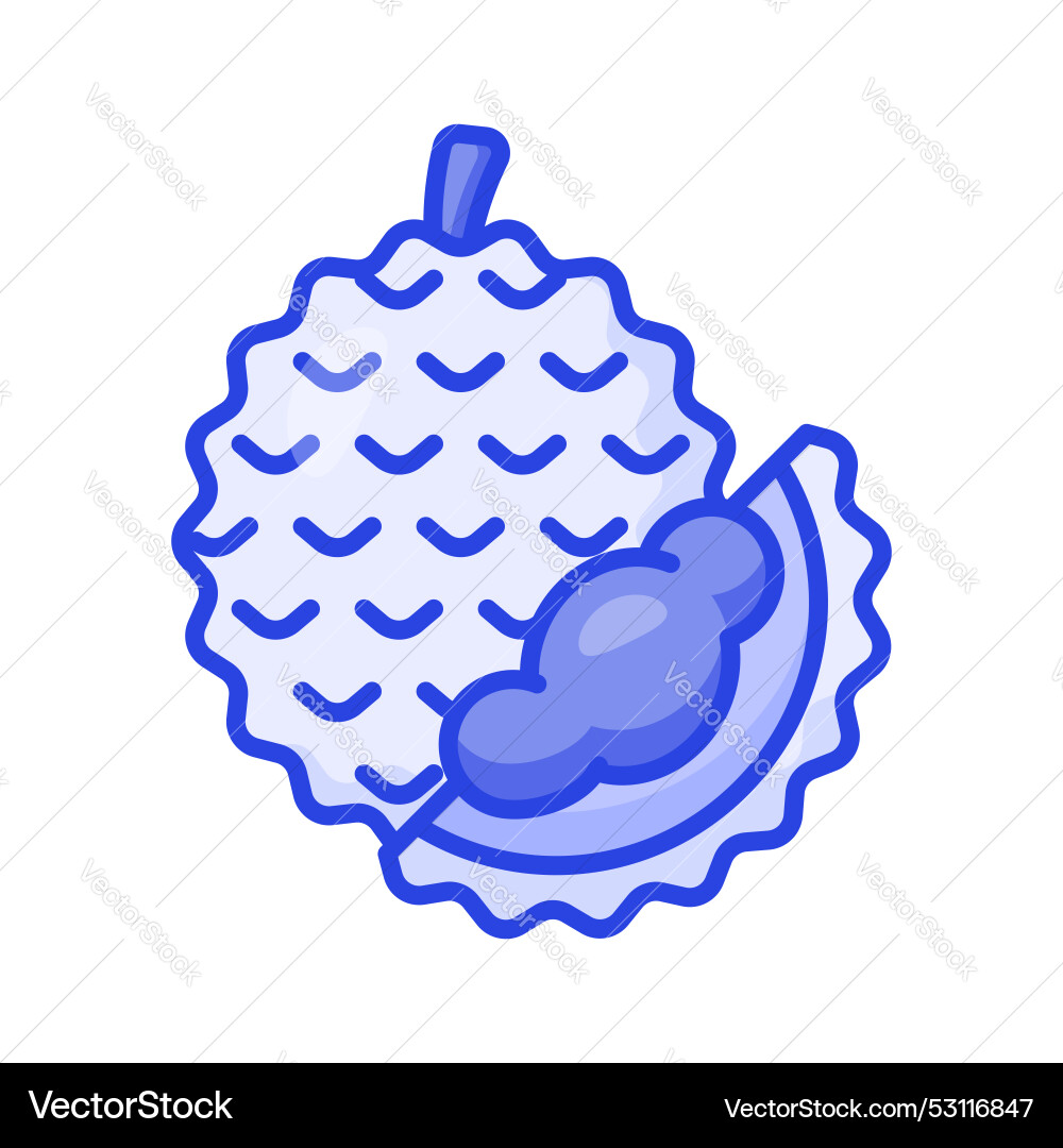 Durian Royalty Free Vector Image - VectorStock