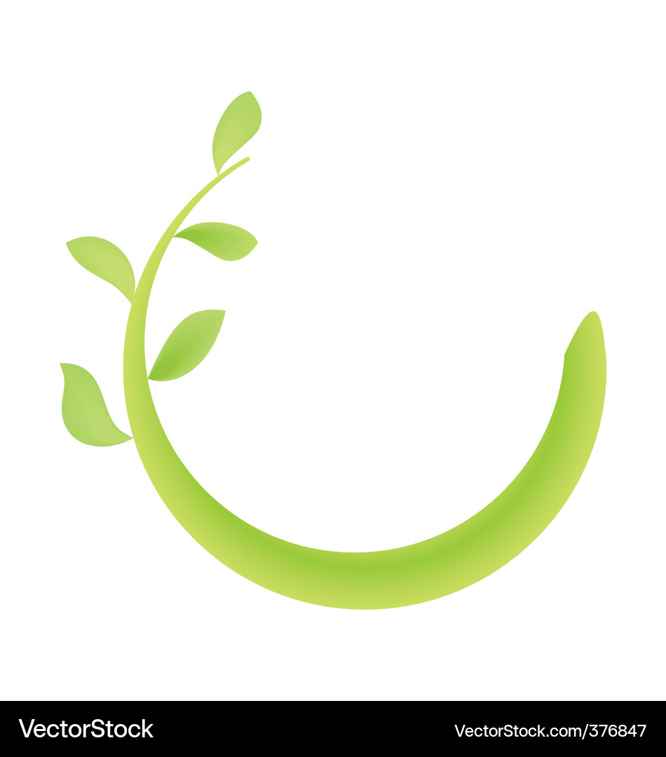 Green leaf Royalty Free Vector Image - VectorStock