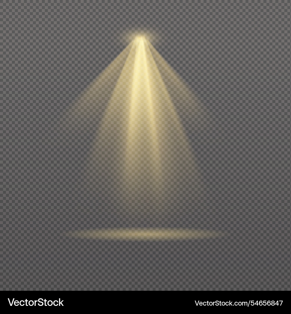 Yellow spotlight light effect on transparent Vector Image