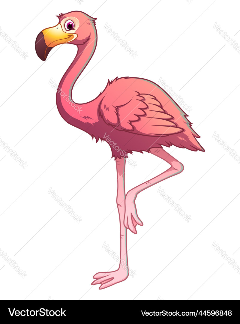 Flamingo cartoon animal Royalty Free Vector Image