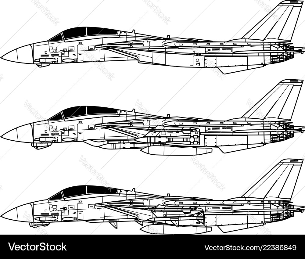 Grumman f-14 tomcat Royalty Free Vector Image - VectorStock
