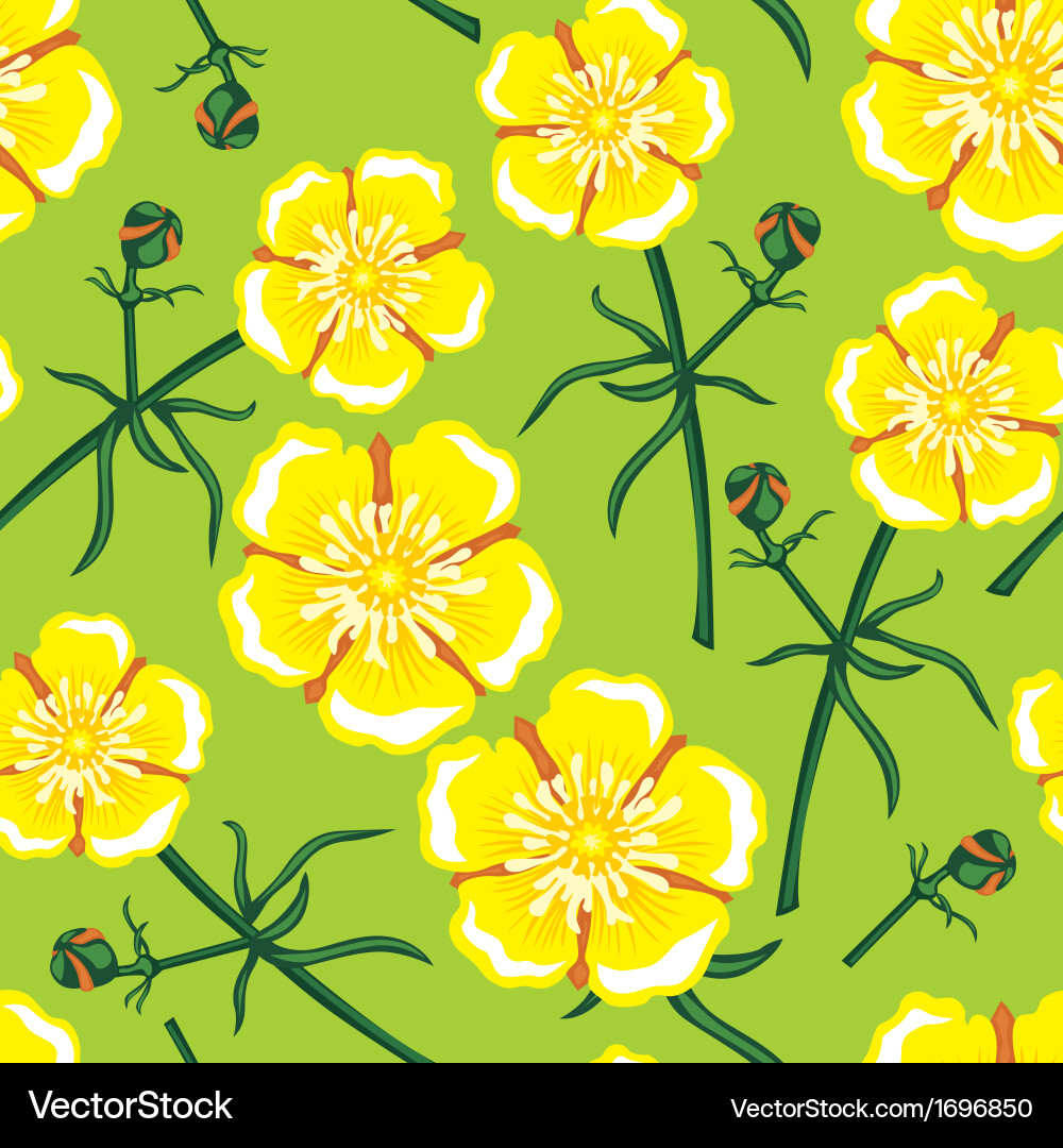 Buttercup seamless Royalty Free Vector Image - VectorStock