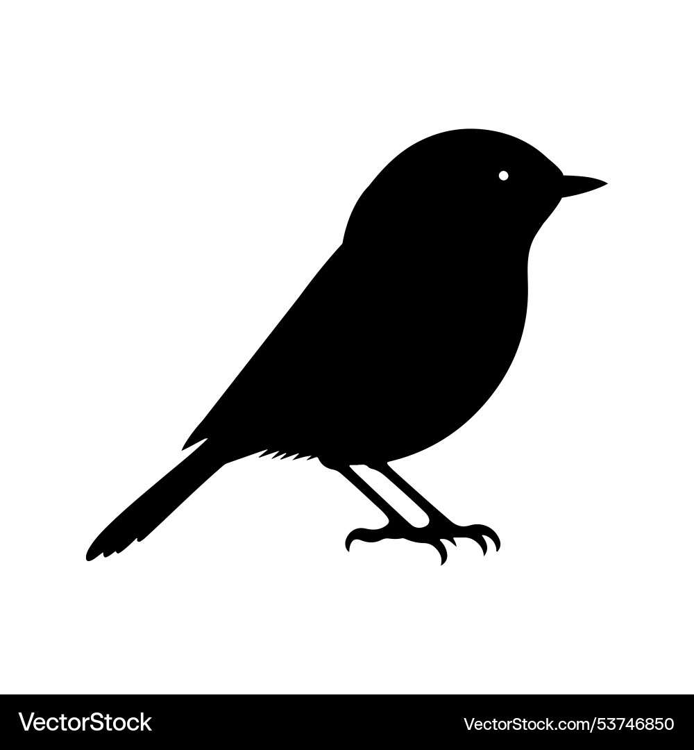Color bird art Royalty Free Vector Image - VectorStock