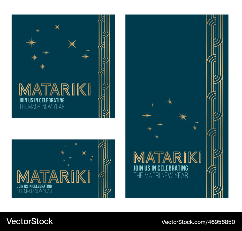 Matariki maori new year gold social designs Vector Image
