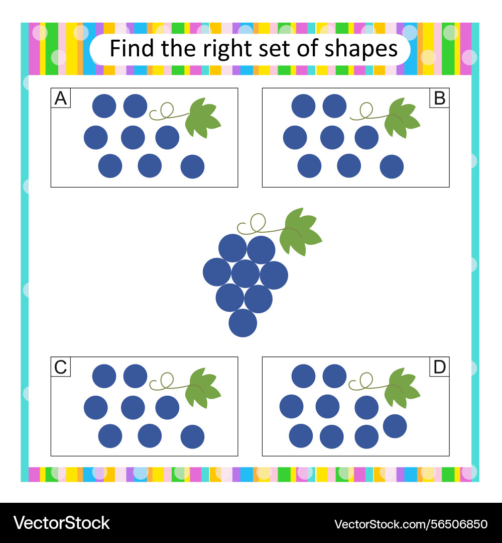 Puzzle for kids attention task find the correct Vector Image