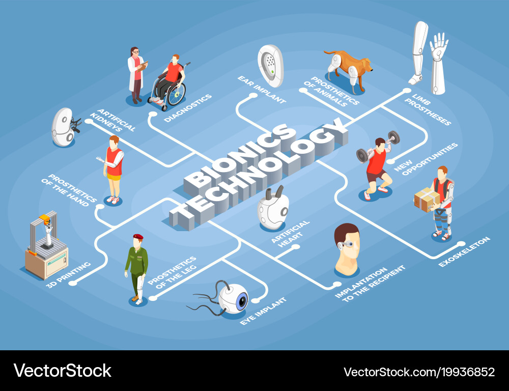 Bionics technology isometric flowchart Royalty Free Vector