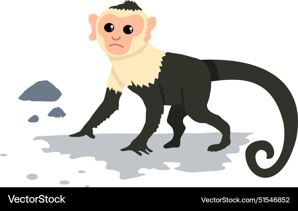 Capuchin monkey cartoon of isolated Royalty Free Vector