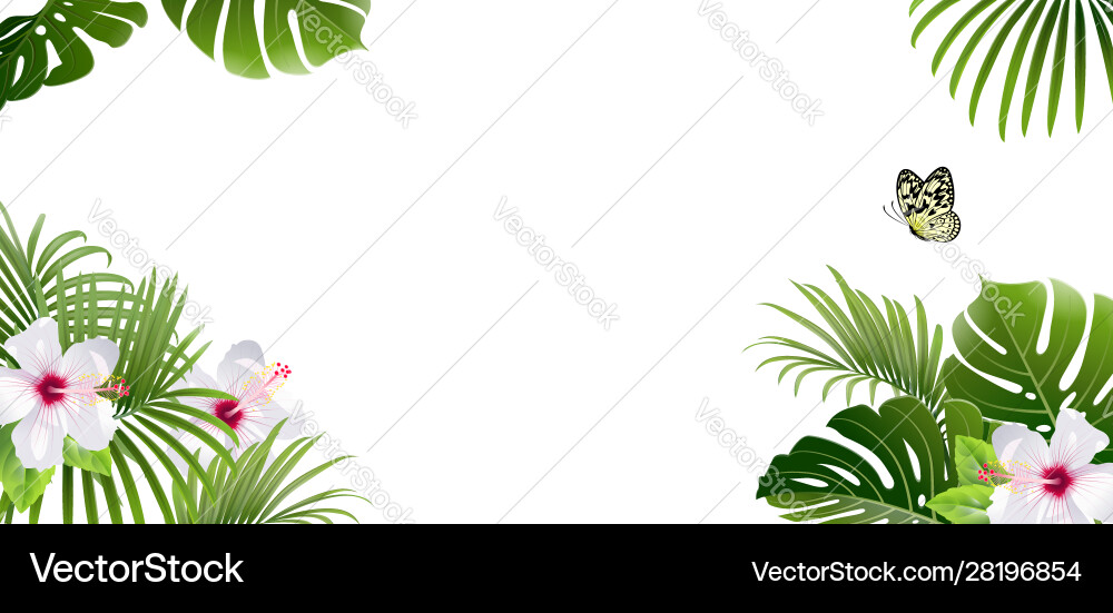 Banner tropical plants and butterfly Royalty Free Vector