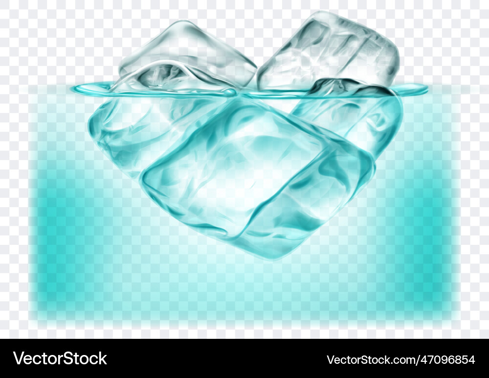 Ice cubes in water Royalty Free Vector Image - VectorStock