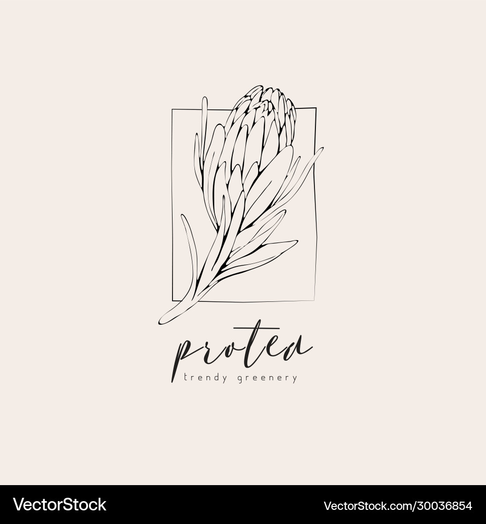 Protea Logo und Blumen Hand gezogen Hochzeit Kräuter