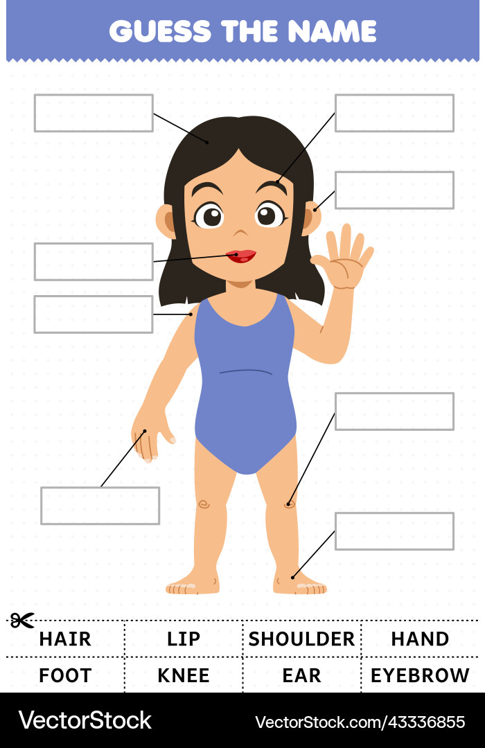 Education game for children guess the name Vector Image