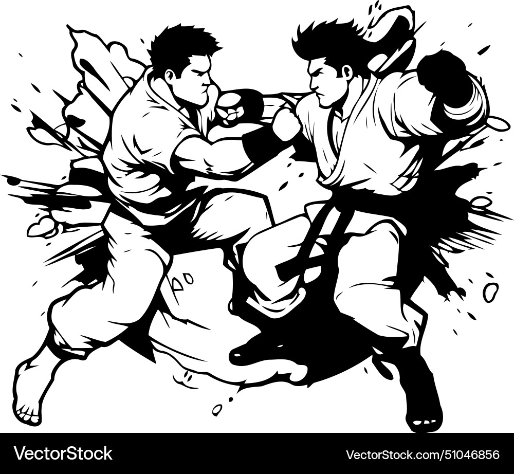 Martial arts two karate fighters in action Vector Image