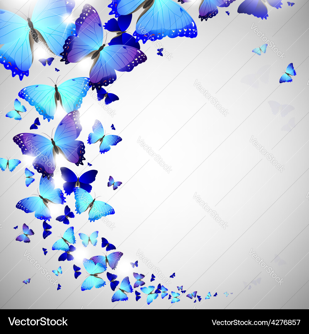 Blue butterfly Royalty Free Vector Image - VectorStock