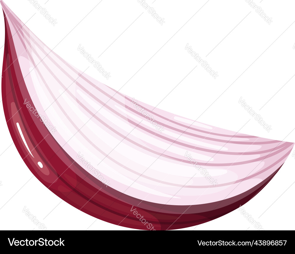 Slice red onion Royalty Free Vector Image - VectorStock