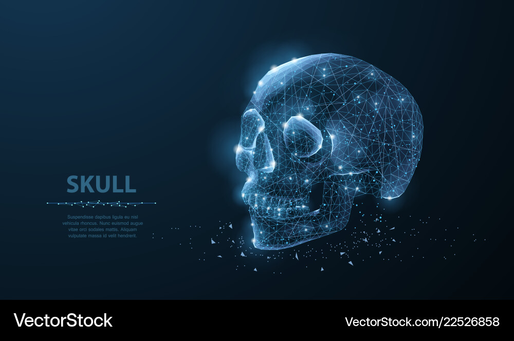 Skull abstract polygonal skeleton Royalty Free Vector Image