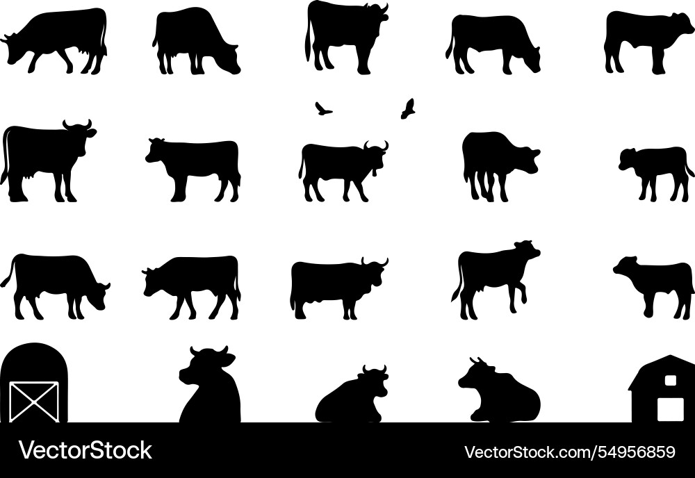 Cow Royalty Free Vector Image - VectorStock