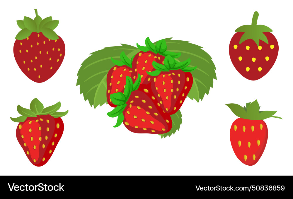 Strawberry design and bundle Royalty Free Vector Image