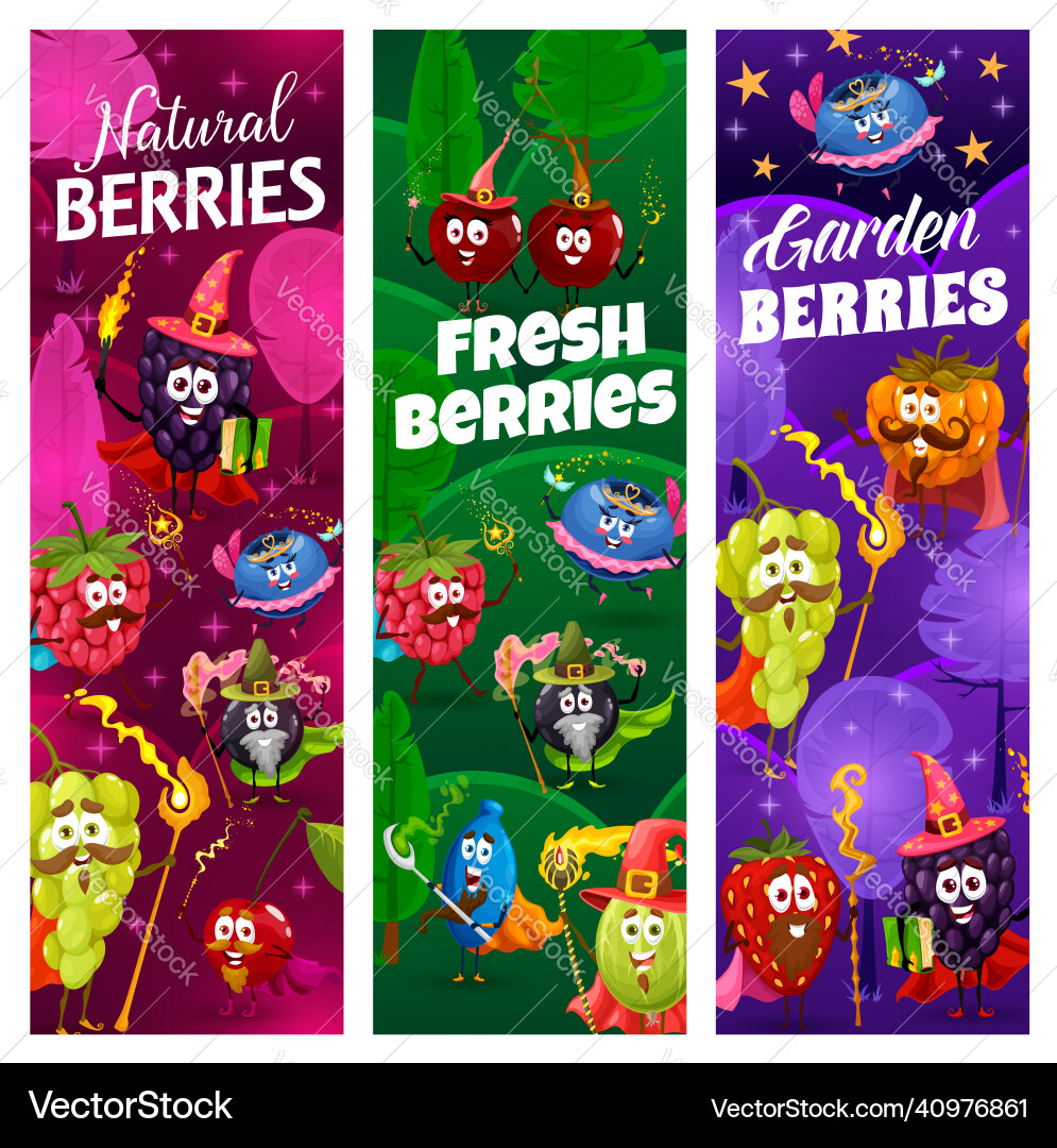 Cartoon funny berry wizard warlock witch fairy Vector Image