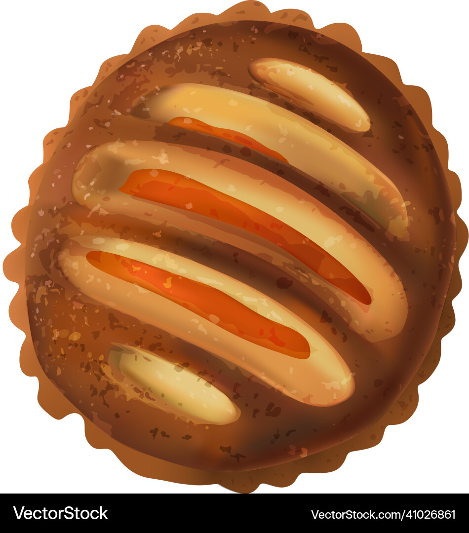 Realistic biscuit Royalty Free Vector Image - VectorStock