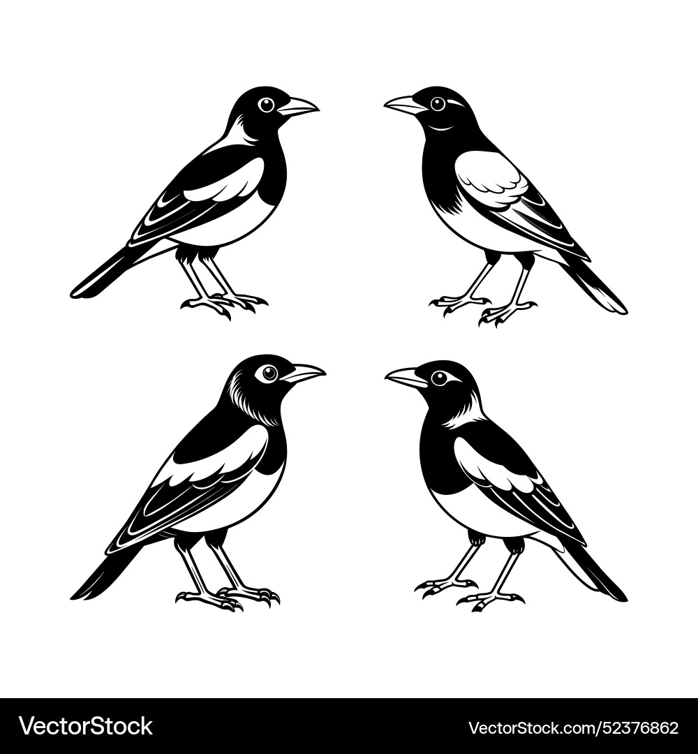Myna bird logo art Royalty Free Vector Image - VectorStock