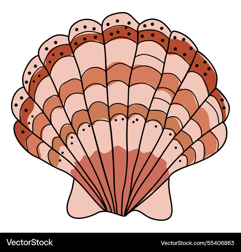 Sea shell clam marine undersea mollusc Royalty Free Vector