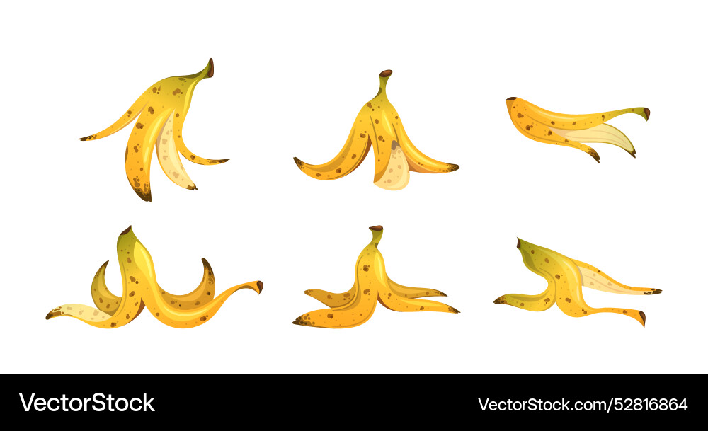 Banana peels in different positions isolated Vector Image