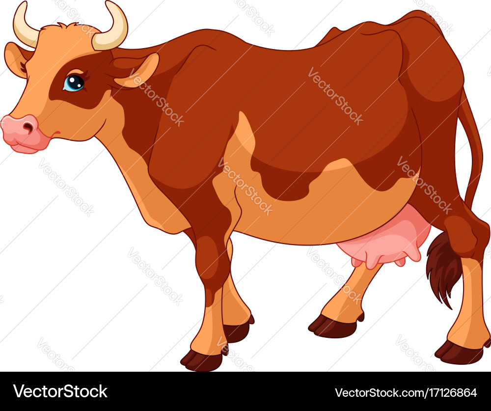 Cow Royalty Free Vector Image - VectorStock