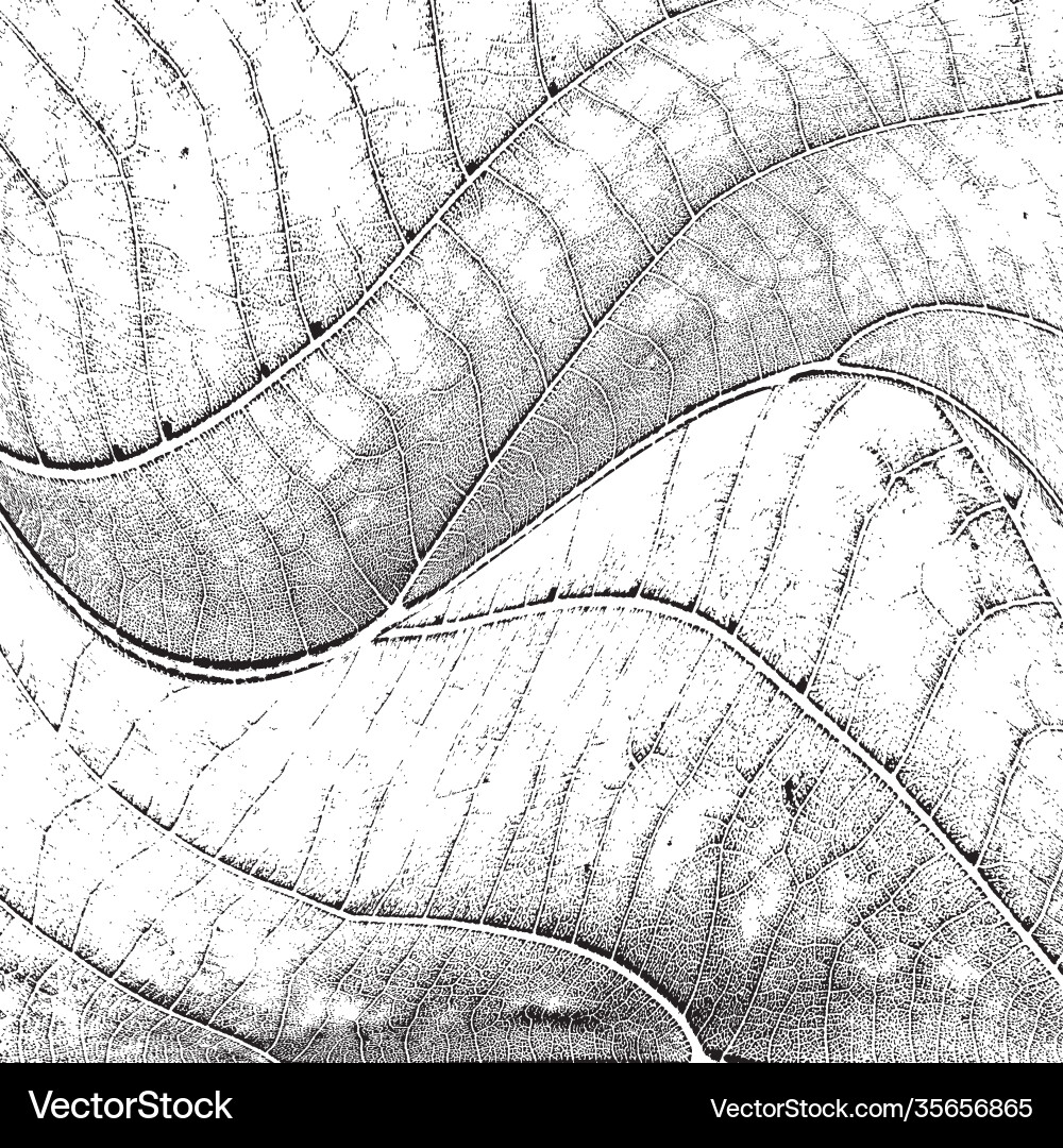 Leaf background wavy Royalty Free Vector Image