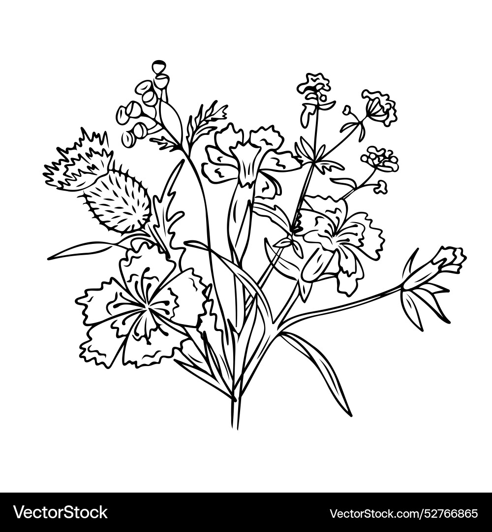 Wild field flowers contour doodle bouquet Vector Image