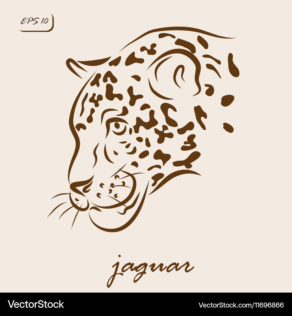 Jaguar Royalty Free Vector Image - VectorStock